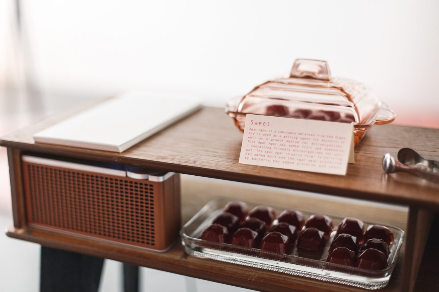 We are all chimeras: Annike Flo’s multispecies meetings » Noba